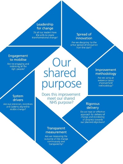 Developing the expert capacity to transform the NHS | Resource centre ...